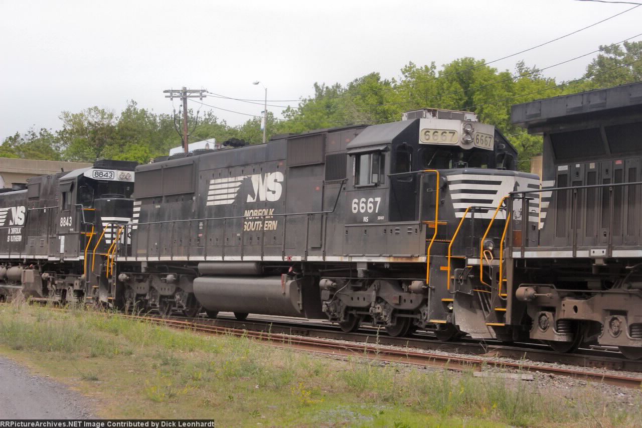 NS 6667
